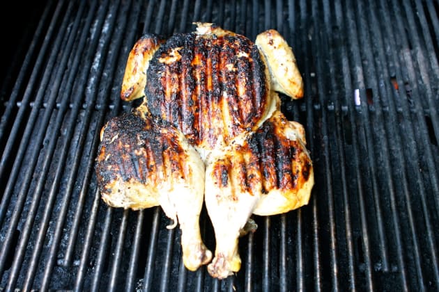 Chicken Under A Brick Recipe - Food Fanatic