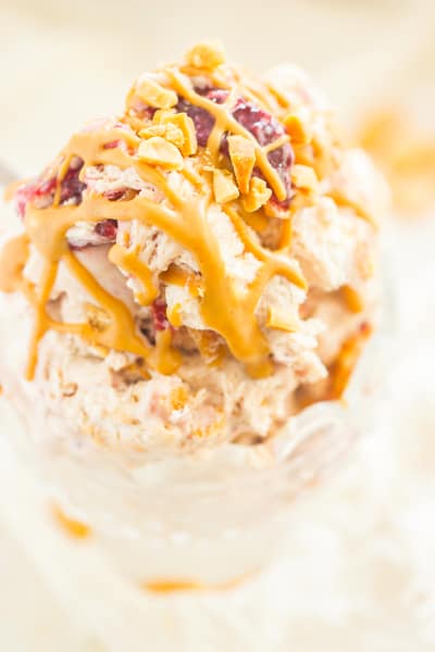 No Churn Peanut Butter & Jelly Ice Cream Recipe - Food Fanatic No Churn Peanut Butter & Jelly Ice Cream Recipe - Food Fanatic