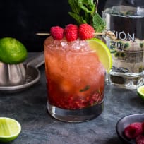 Raspberry Mint Tequila Smash Recipe - Food Fanatic